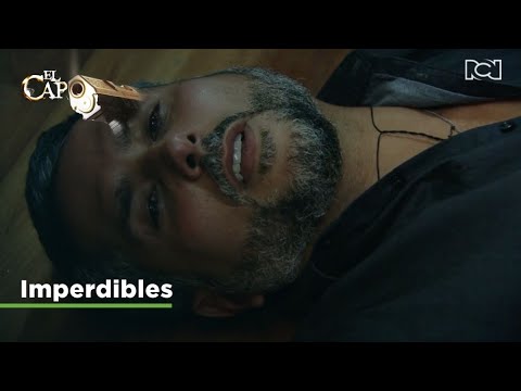 El Capo se entera de una dolorosa noticia | El Capo