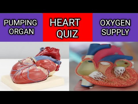 Human Heart Quiz | Heart Anatomy And Physiology | @MindSpike-o9h - YouTube