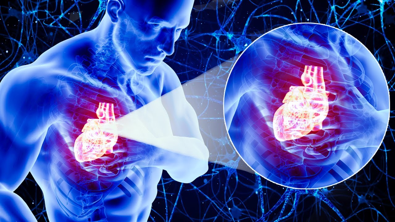 Super Recovery & Healing Heart | Alpha Waves Heal Damage Inside The ...
