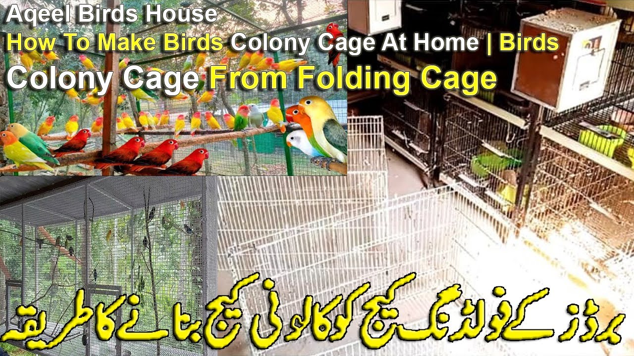 How To Make Birds Colony Cage At Home | Birds Colony Cage From Folding ...