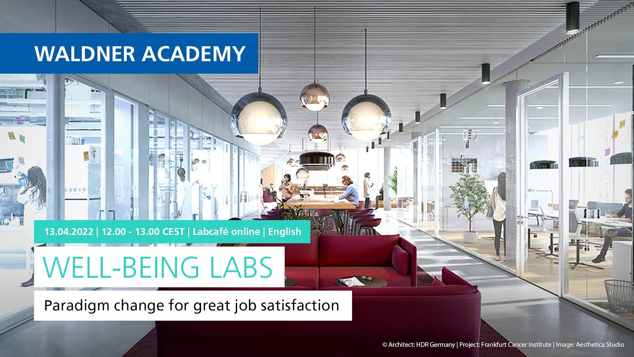 Well-being Labs – Paradigm change for great job satisfaction - YouTube