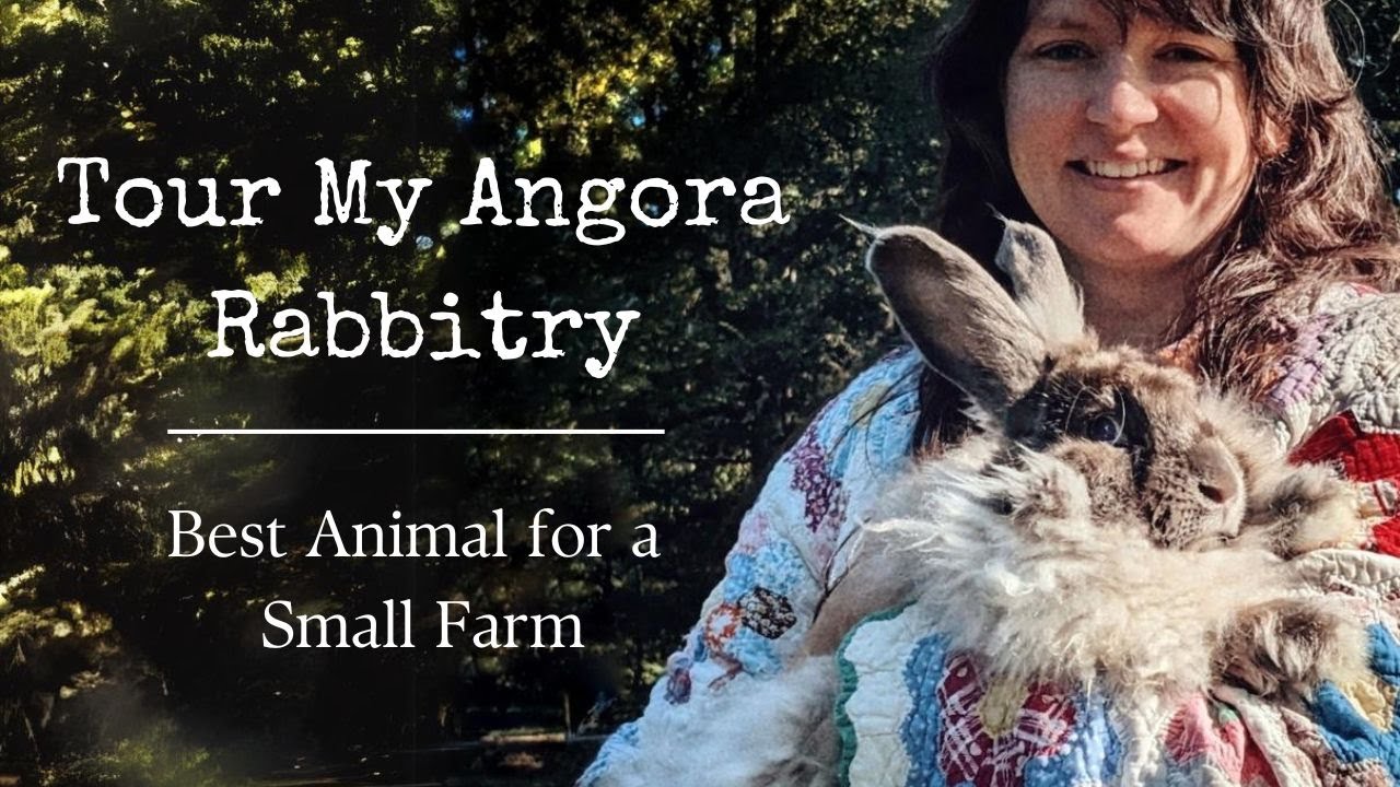Best Animal for Small Fiber Farm: Tour My Angora Rabbitry - YouTube