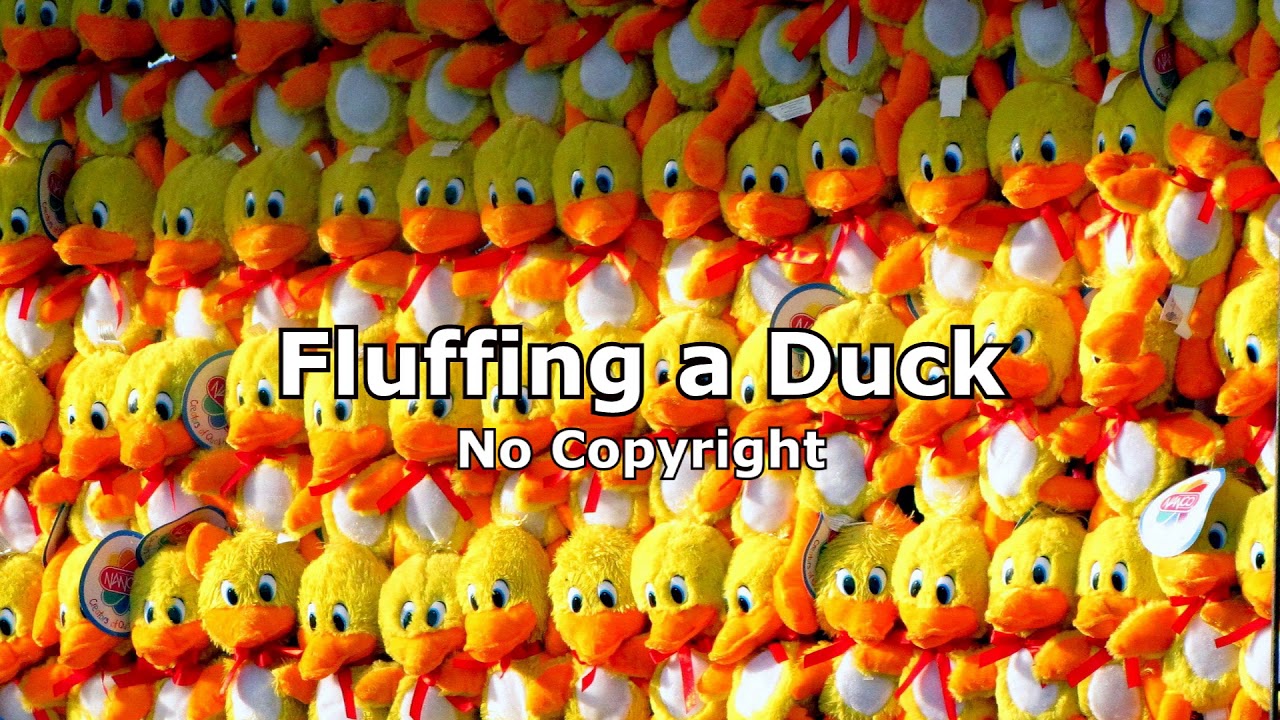 🎧Fluffing a Duck [No Copyright Music] 🎵 - YouTube