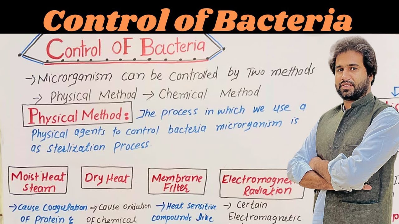Chapter No 6 # kingdom Prokaryotes|Control of bacteria & Physical ...