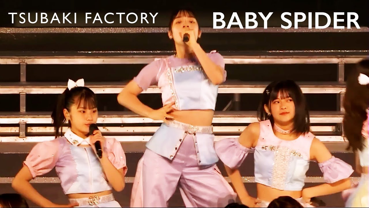 Tsubaki Factory - BABY SPIDER - YouTube