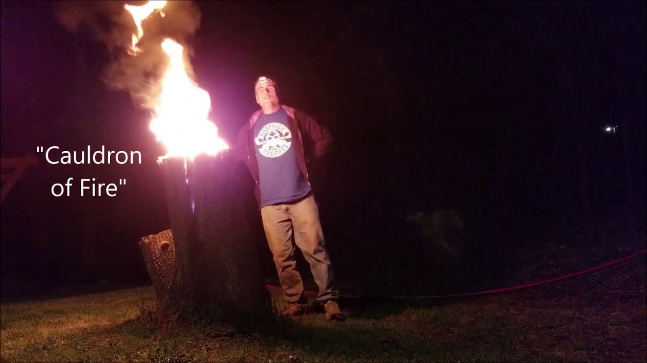 Tree Torch - YouTube