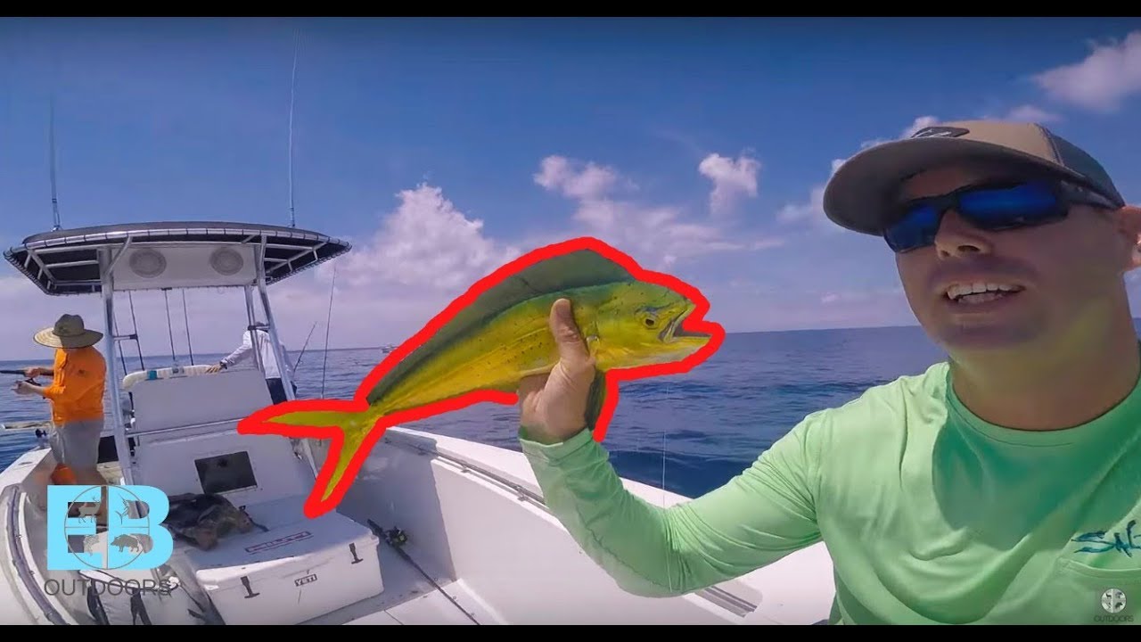 Fishing Frenzy! Fighting ANGRY MAHI MAHI (Ft Lauderdale) - YouTube