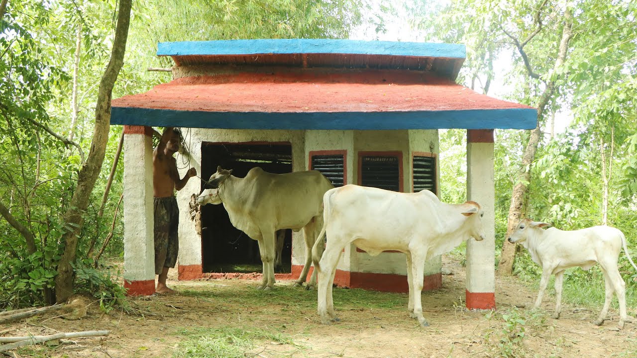 [ Full Video ] 9 Days to build simple jungle mud house for cows - YouTube