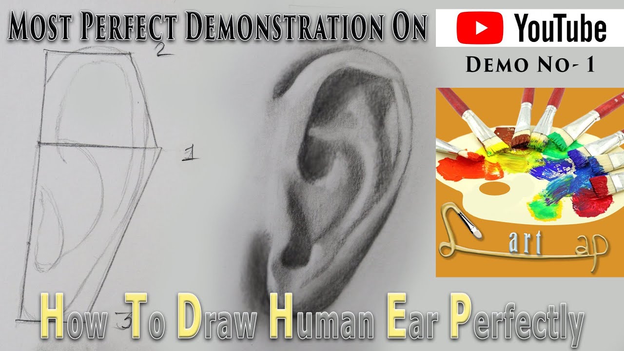 Human Ear Drawing Step By Step/ ear Drawing Easy/ Drawing Human Ear # ...