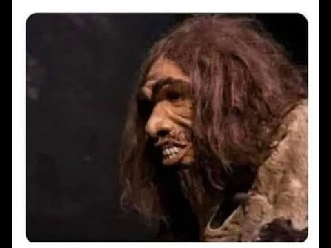 What Caused The Whyte Man's RAGE Directed @ Black People ? # ...