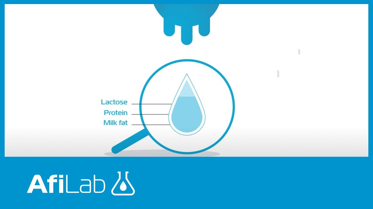 Afimilk - AfiLab - in-Line, real-time milk analyzer - YouTube
