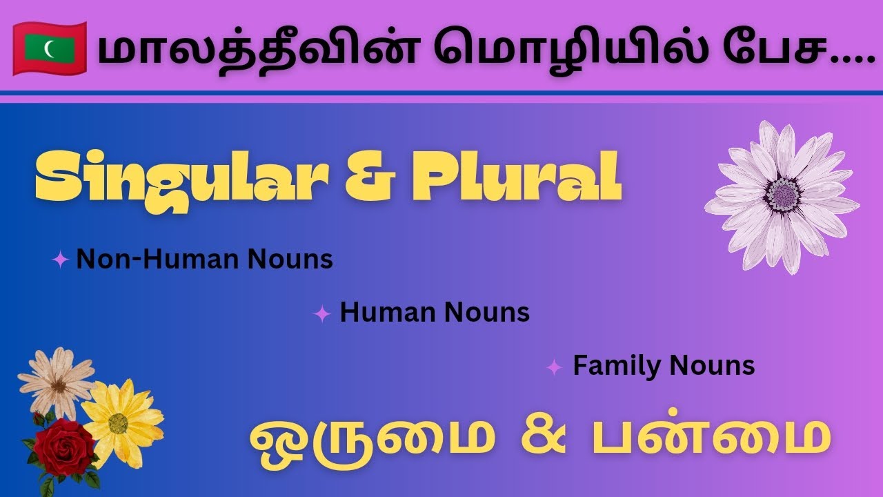 Learn Maldivian Language[Dhivehi] in Tamil & English | Singular ...