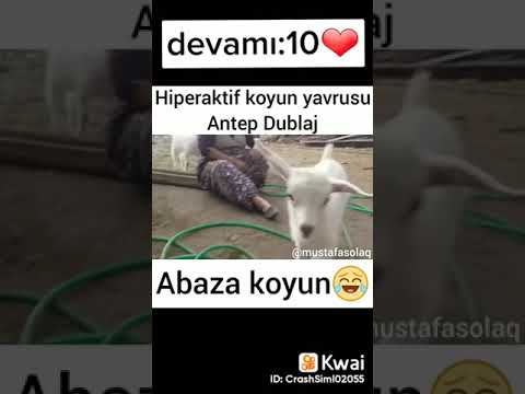 sapık keçi ve yaşlı teyze