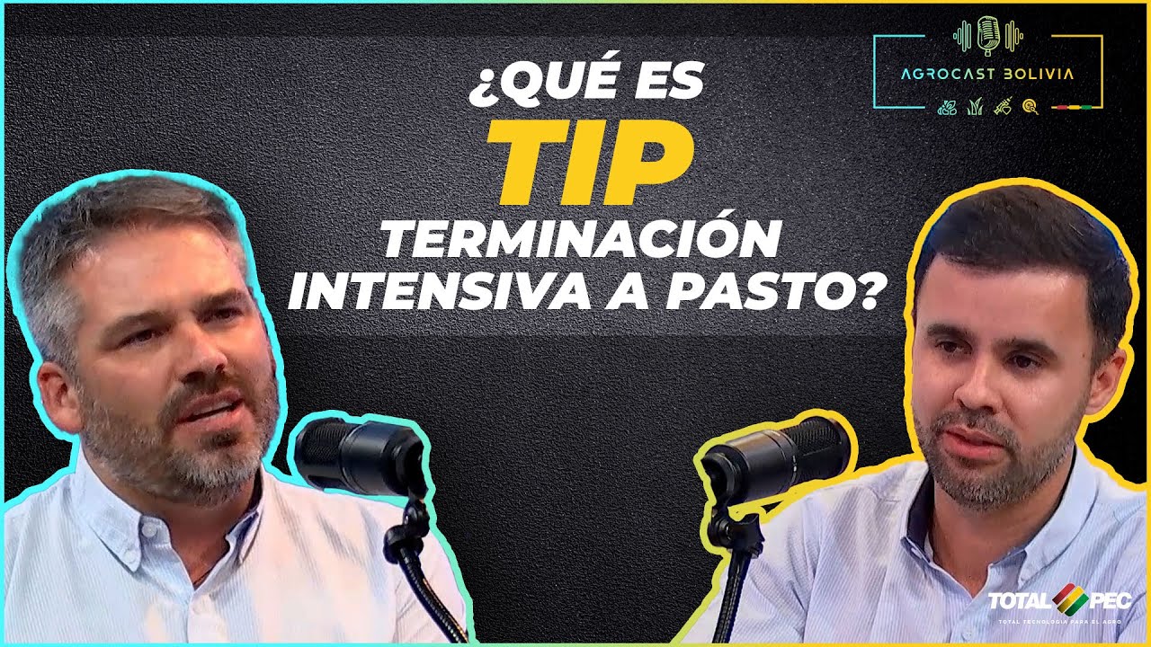 ¿Qué es TIP Terminación Intensiva a Pasto? - YouTube
