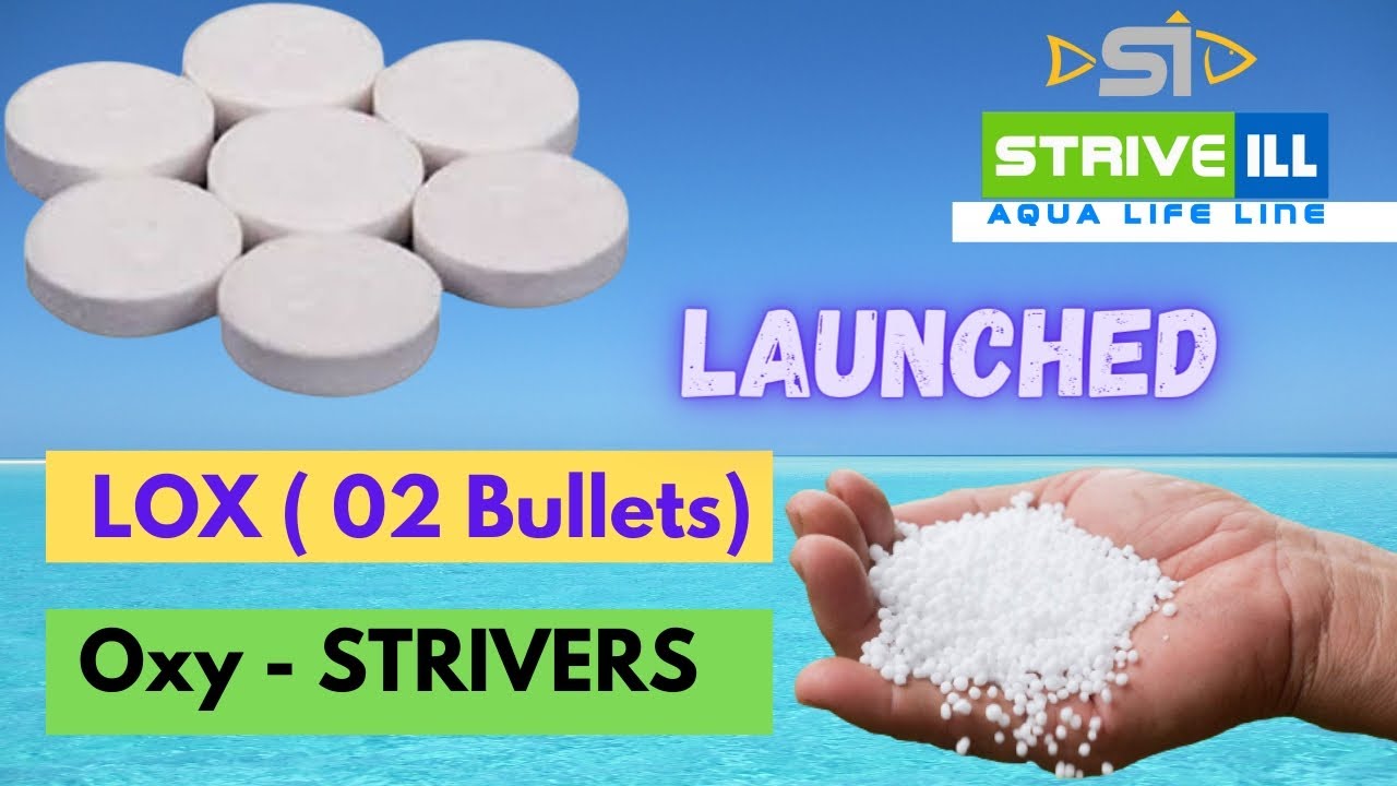 OXY - STRIVERS & LOX ( 02 BULLETS ) Launching || Mothers Day 14th, May ...