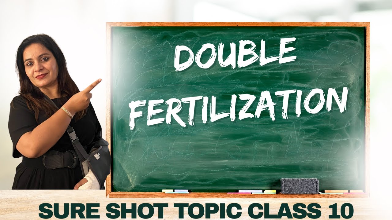 Double fertilization class 10 science important topic - YouTube