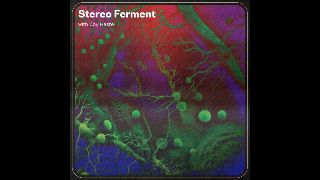 STEREO FERMENT #45: Hard Italo, Disco, Trance, House - YouTube