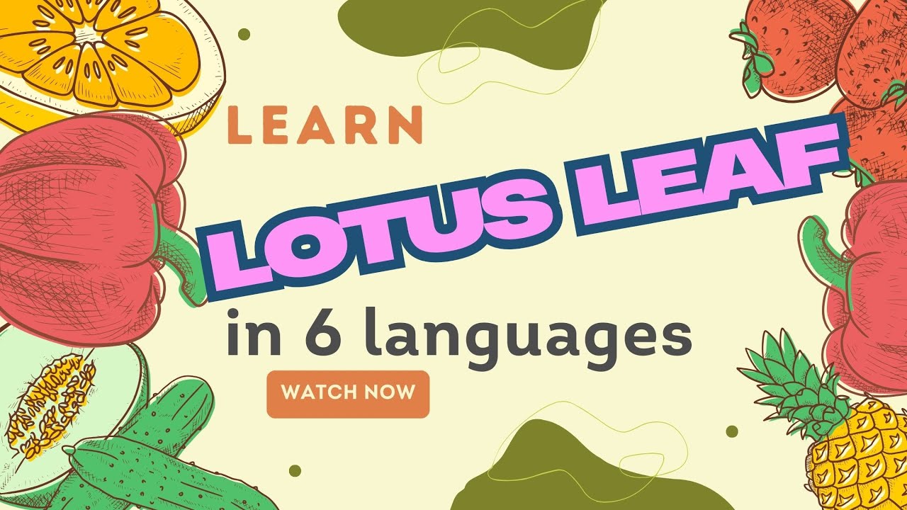 Learn the word Lotus leaf in 6 Languages— Effortless & Fast! - YouTube