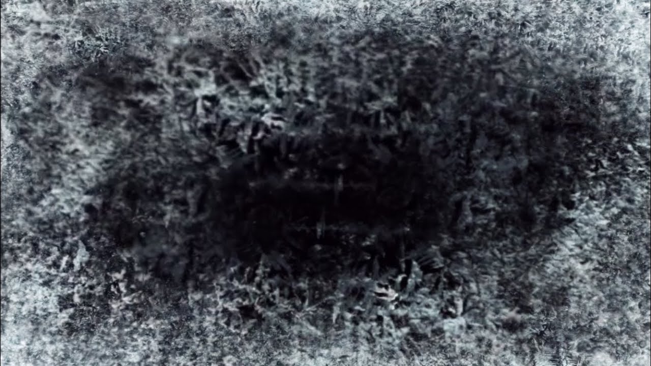 Green Screen and Black Screen Mortal Kombat Sub Zero video effects ...