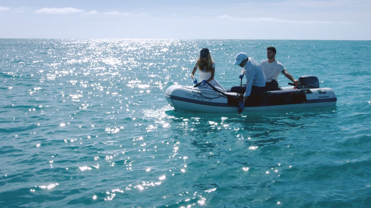 One Ocean Foundation – Protecting the Canyon of Caprera - YouTube