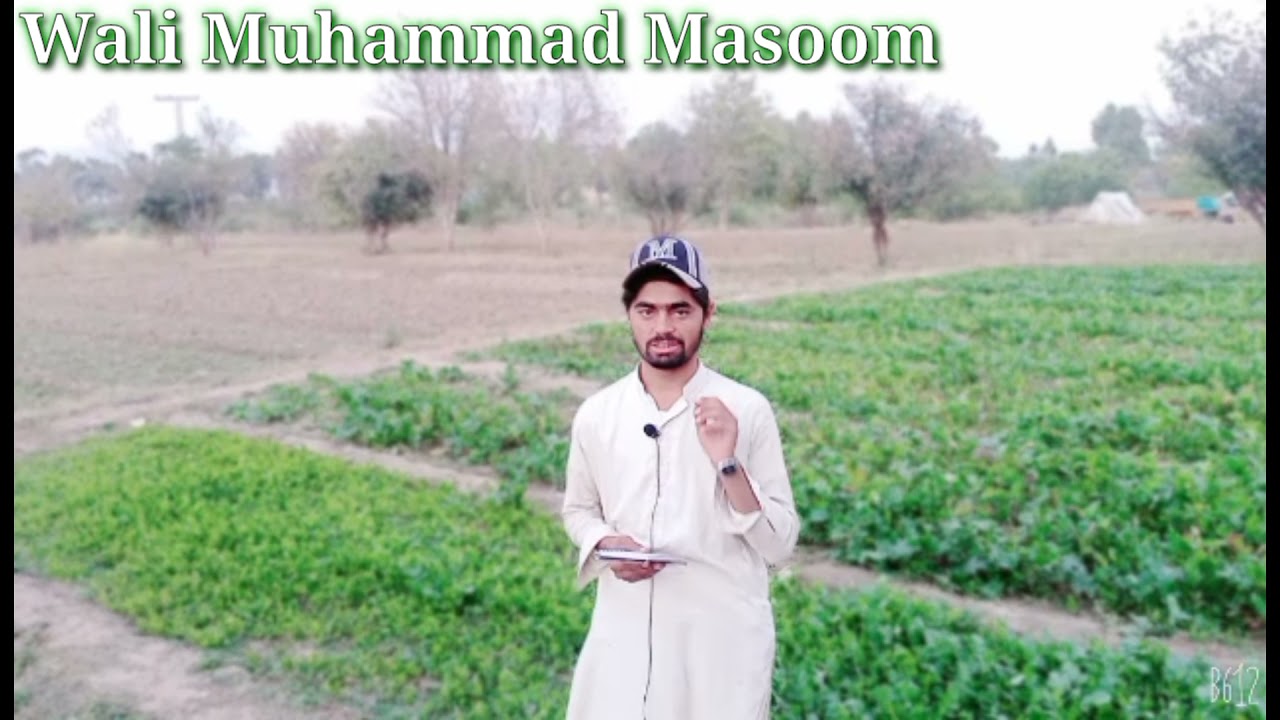 Pashto New Poetry by Wali Muhammad Masoom | Wali Muhammad Official ...