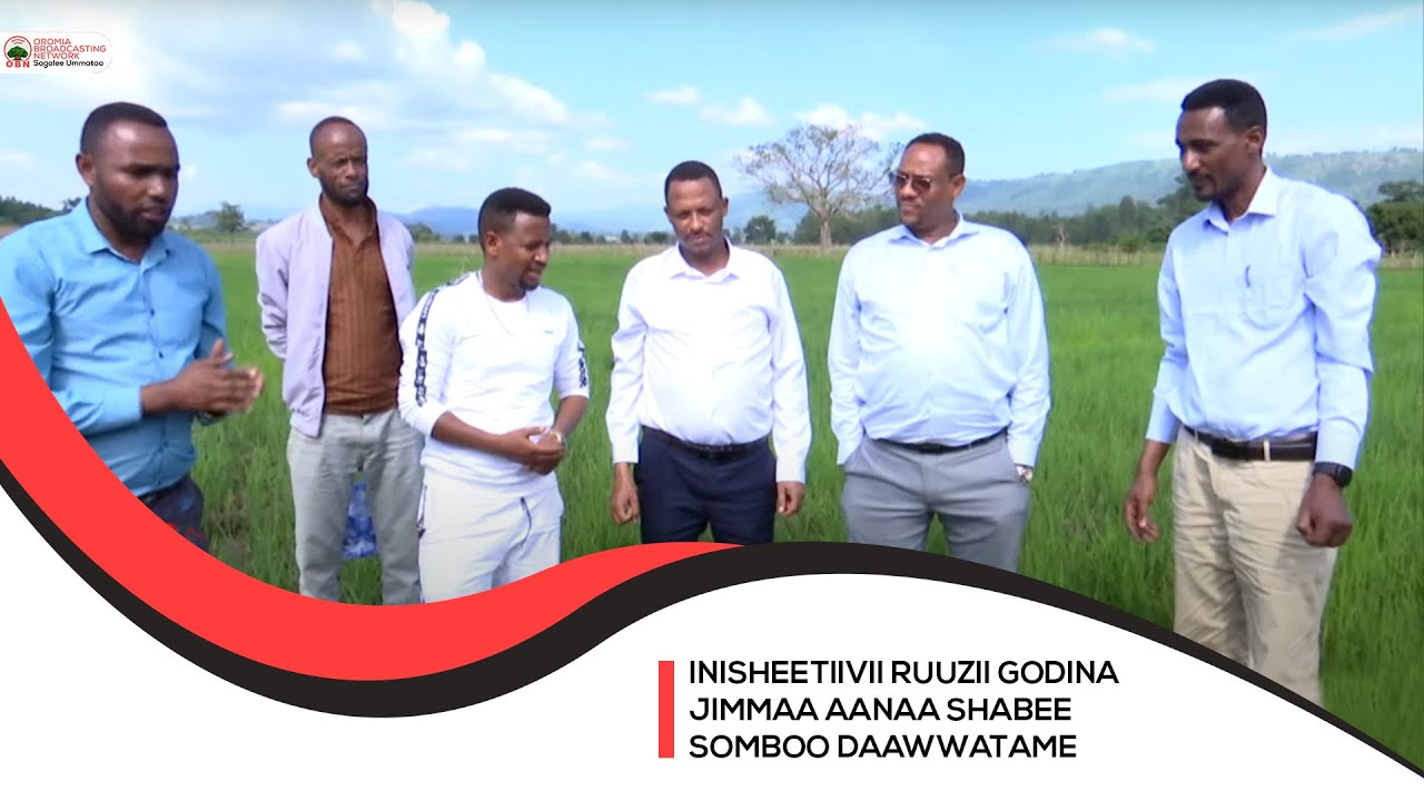 Inisheetiivii Ruuzii godina Jimmaa aanaa Shabee Somboo daawwatame ...