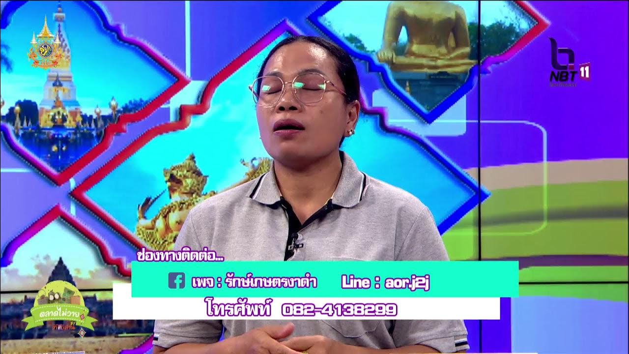 #สด #รายการตลาดไม่วาย By ทีวีอิสาน NBT NORTHEAST วันที่ 19 พฤศจิกายน 2567 เวลา 11.30 - 12.00 น. ...