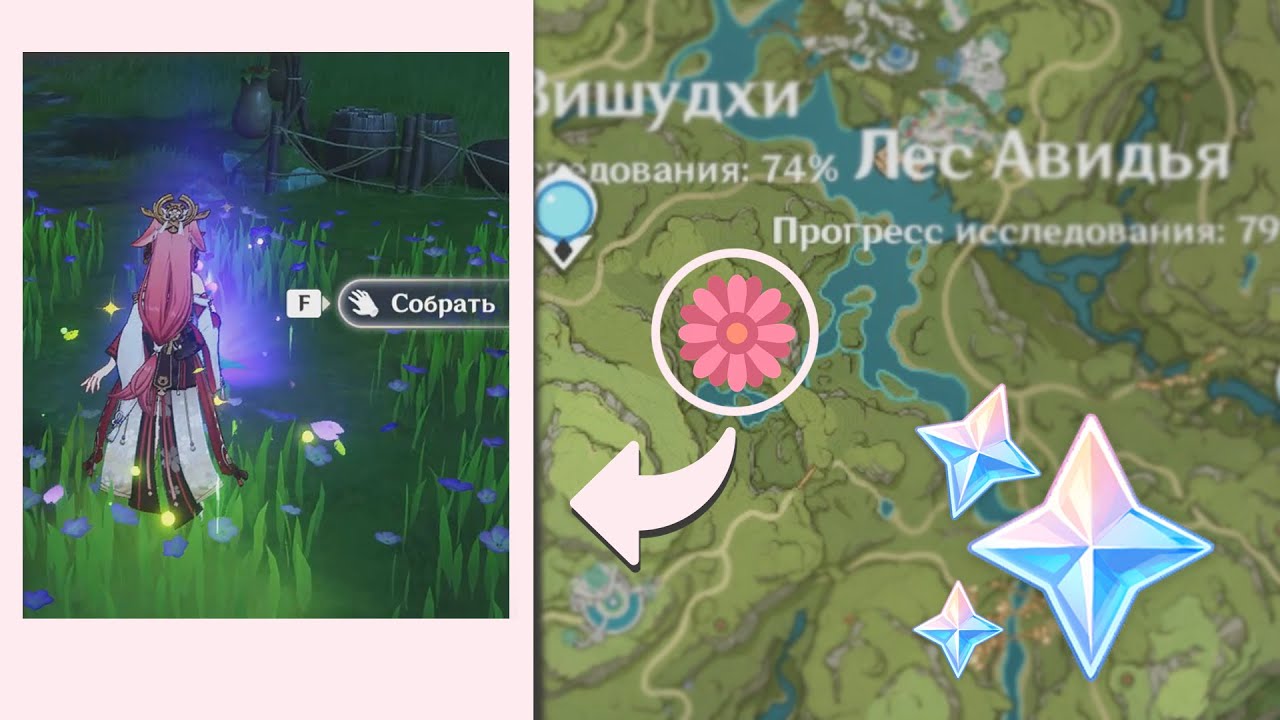 Головоломка с цветами в Сумеру | Genshin Impact - YouTube