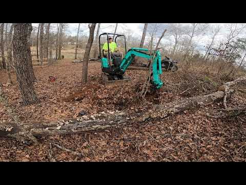 MINI EXCAVATOR DIGGING UP TREES AND LIFTING HEAVY LOGS - YouTube