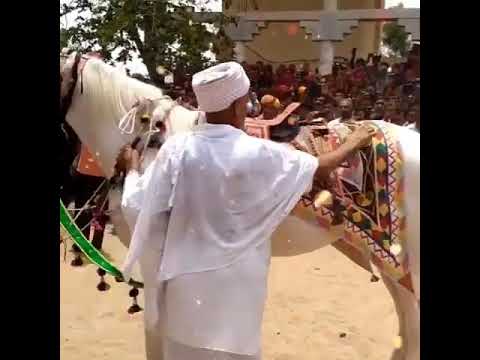 Kheteshwar data status video480!! new kheteshwar data bhajan!! most ...