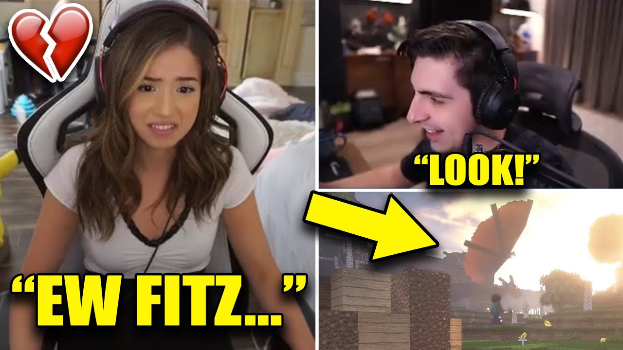 FITZ TAKES *PICTURES* OF POKIMANE IN MINECRAFT! Taste of Minecraft Ep ...