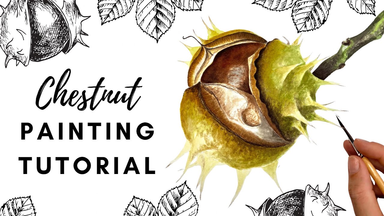 Chestnut Painting Tutorial 🤎 Realistic Chestnut Painting 🤎 Enlarged ...
