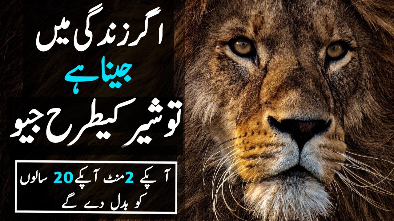 Loin Mentality Motivation Urdu Hindi | Powerful Motivational Video ...