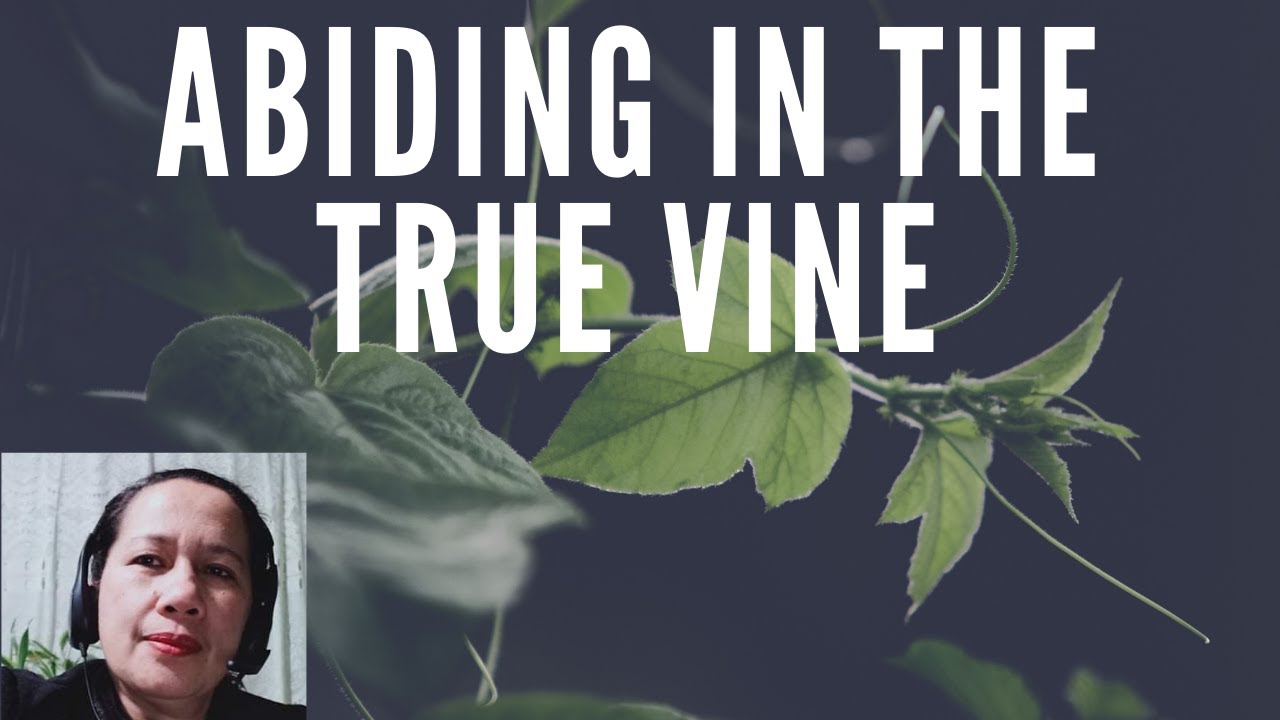 BIBLE STUDY: TOPIC- ABIDING IN THE THE TRUE VINE - YouTube