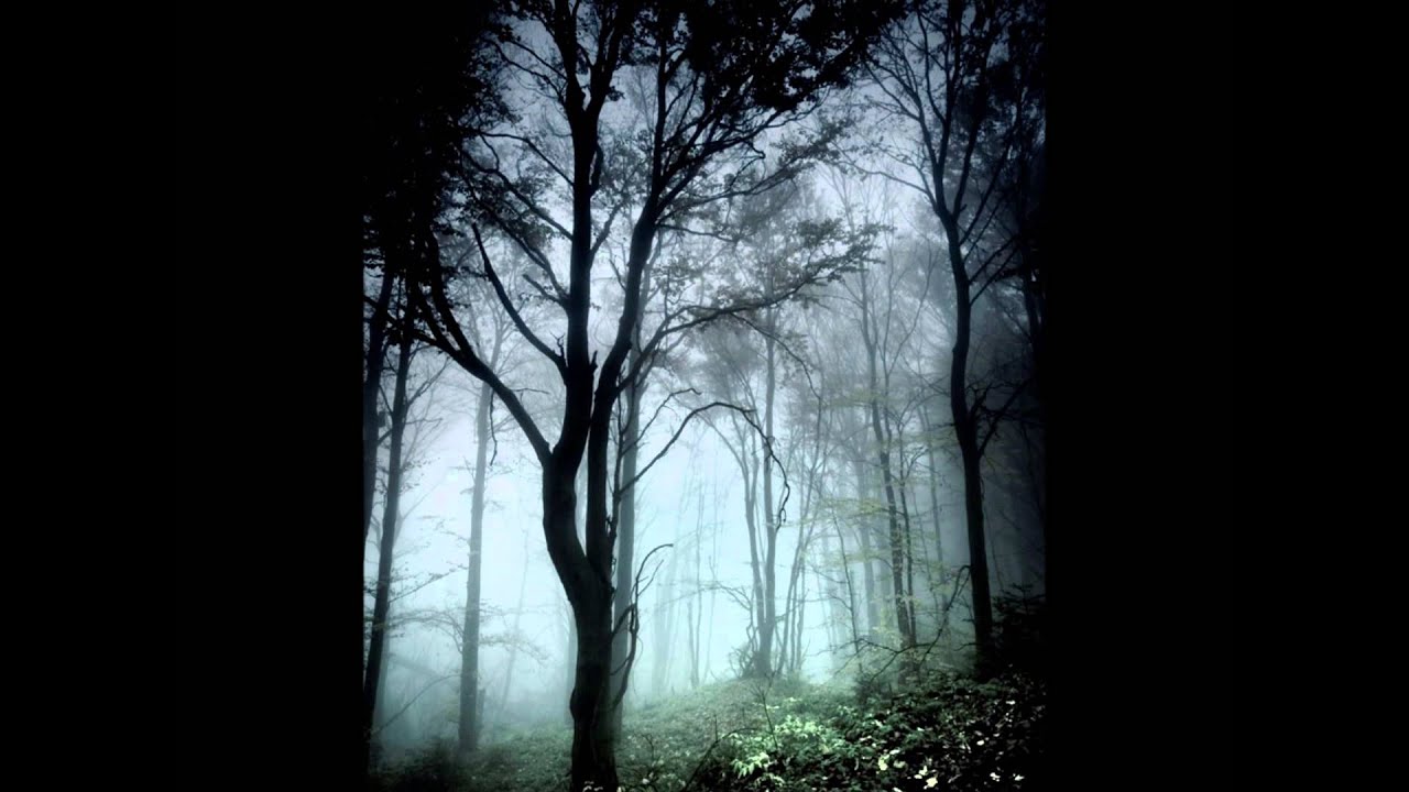Forest of Shadows - Wish - YouTube