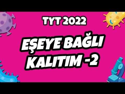 TYT Biyoloji - Eşeye Bağlı Kalıtım - 2| TYT Biyoloji 2022 #hedefekoş