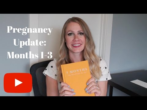 Pregnancy Update: Months 1-3
