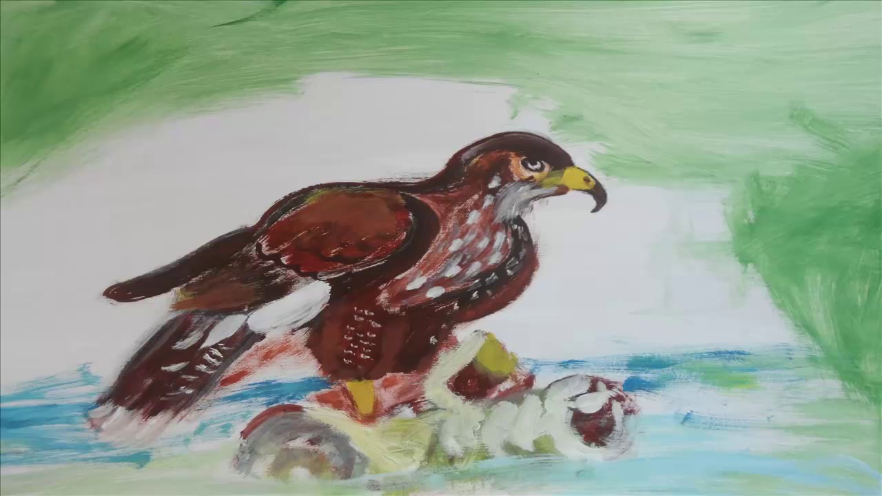 draw Eagle (water color) step by step easy - YouTube