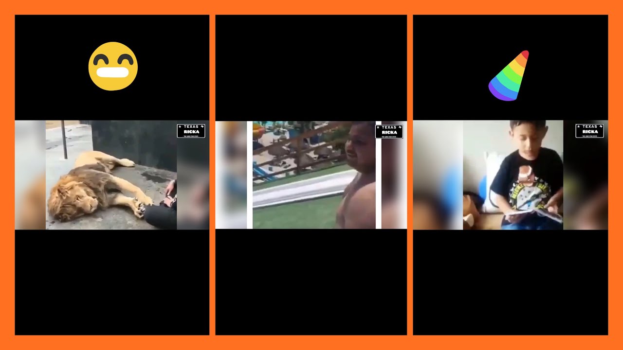 🔻🔻NEW Funny/random/videos/videos/chistosos.🔺🔺 - YouTube