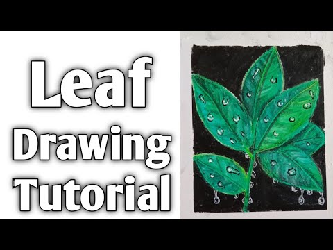 Realistic leaf drawing - YouTube