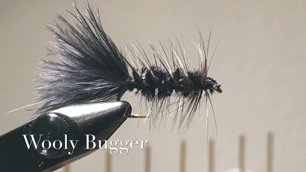 Woolly Bugger - Fly Tying - YouTube