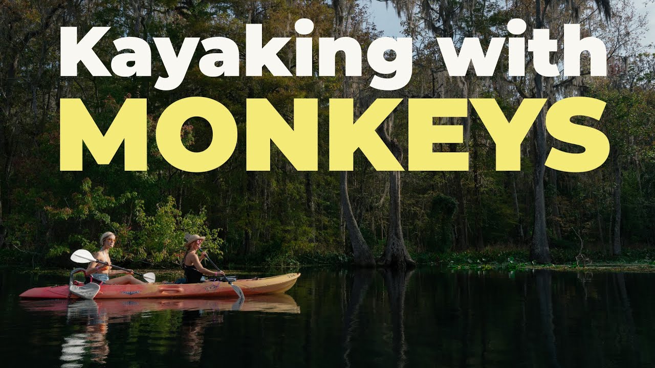 KAYAKING IN THE SILVER SPRINGS WITH MONKEYS!! - YouTube