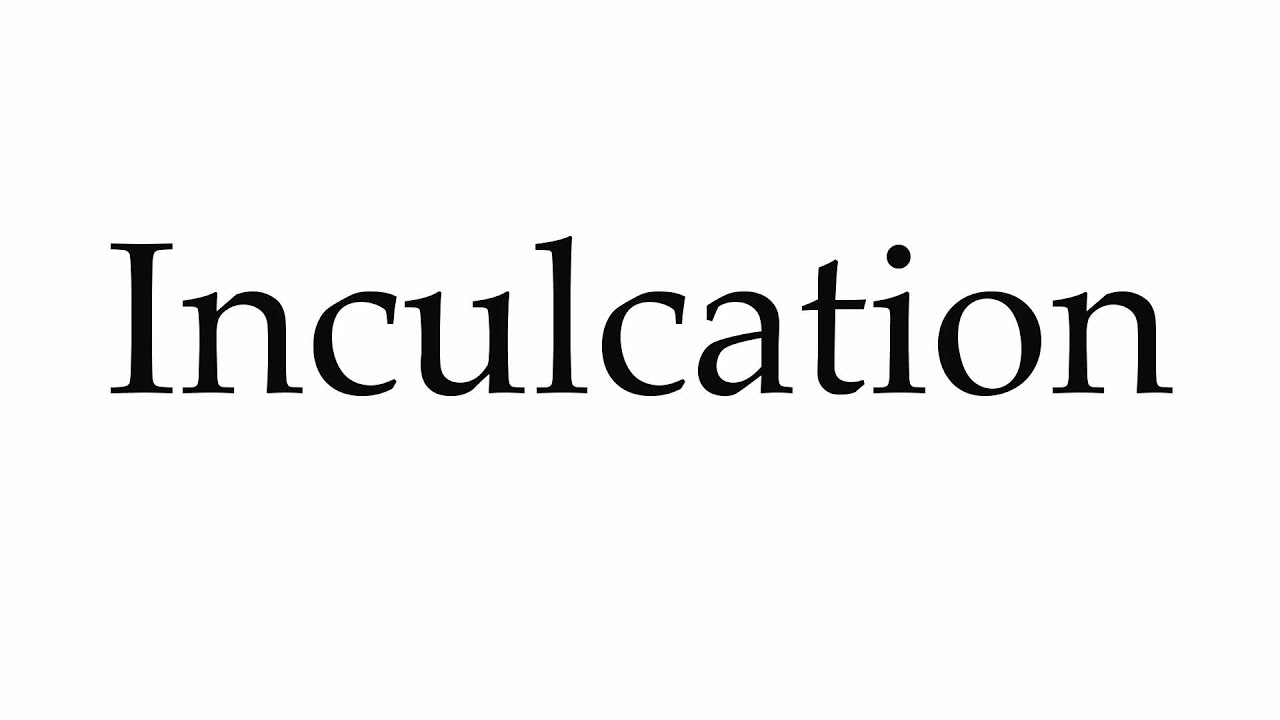 How to Pronounce Inculcation - YouTube