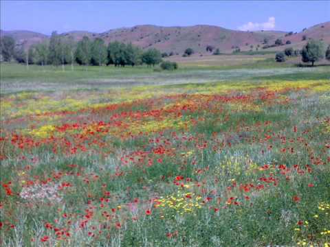 ERZİNCAN REFAHİYE ALACAHAN KÖYÜ