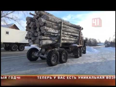 Лесничие с квадрокоптером