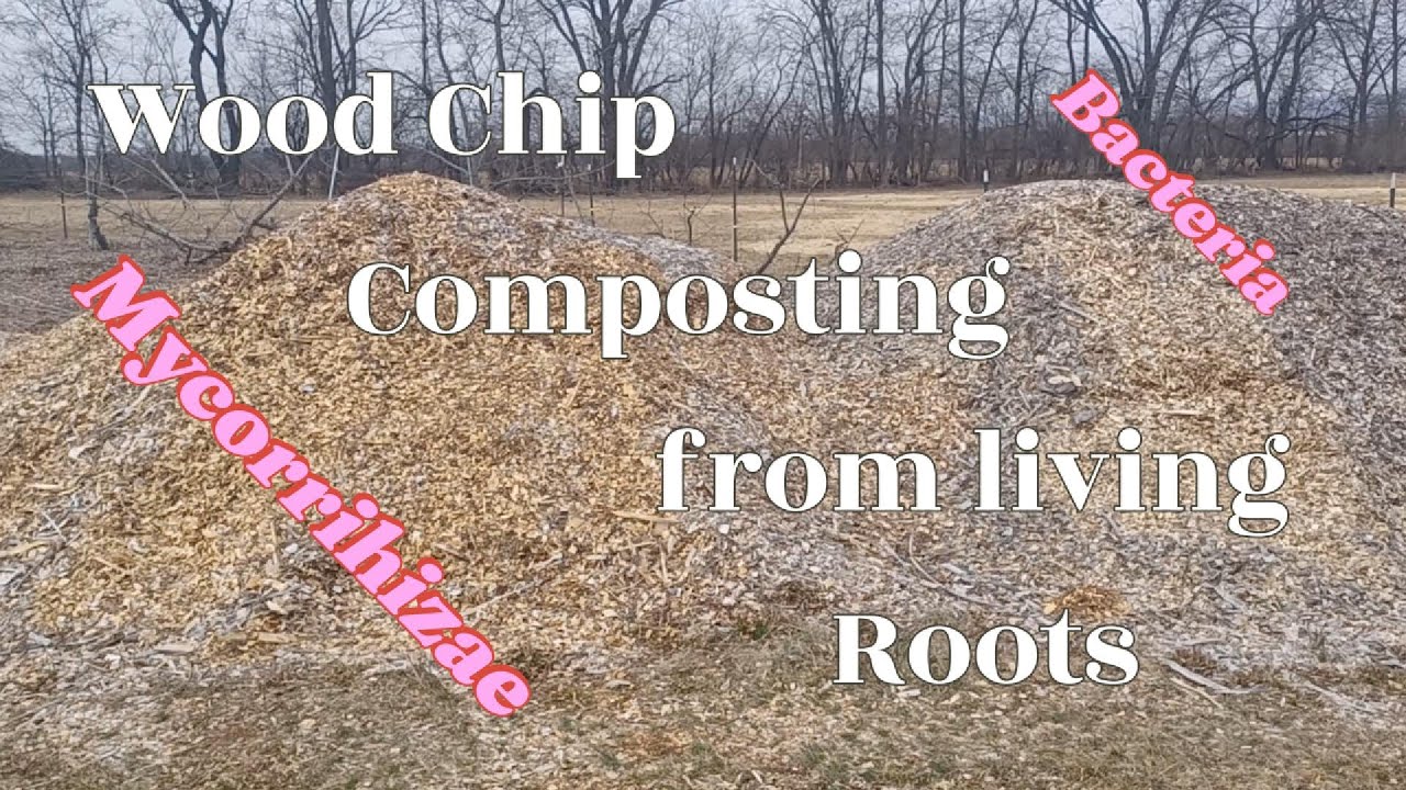 How to compost wood chips for beginners - YouTube