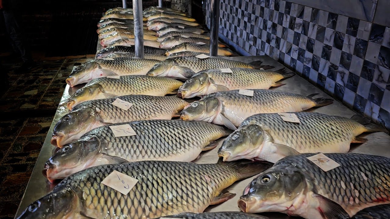 Masgouf fish, Traditional Iraqi Cuisine from Baghdad | سمك المسكوف ...