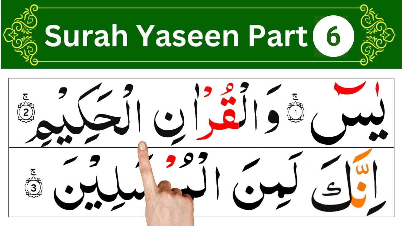Surah Yaseen Part 6 / verse 36-40 / Daily Yasin / Noor Ul Quran Daily ...