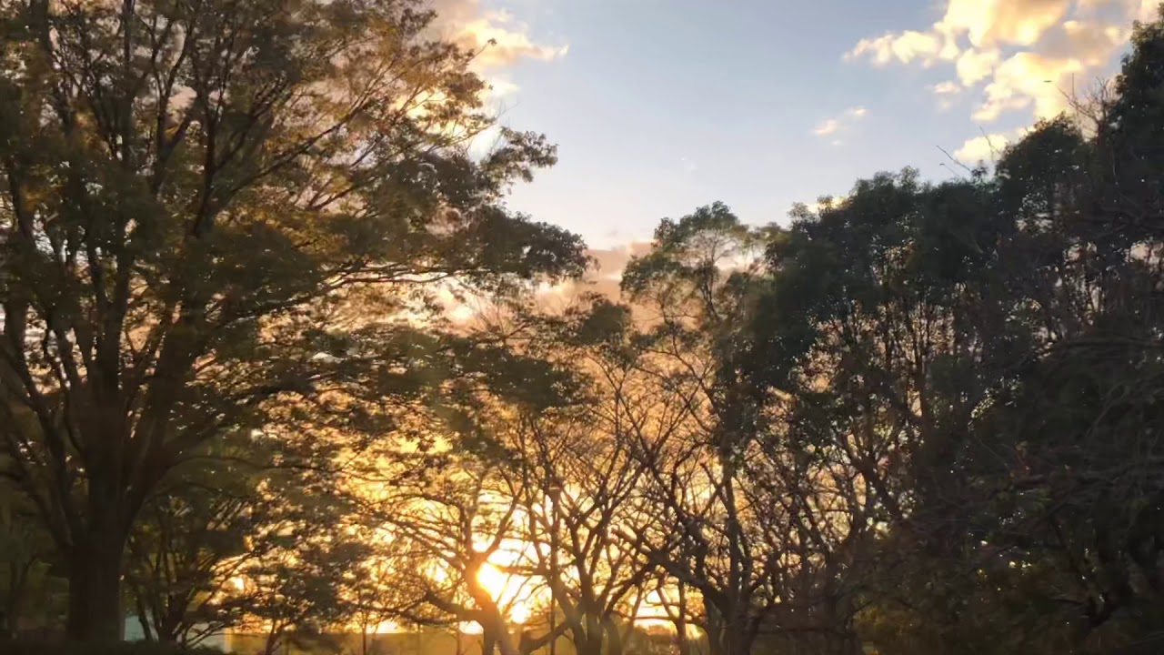 Beautiful sunset after typhoon hagibis hits in japan - YouTube