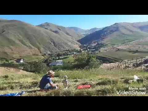 Kend heyatı
